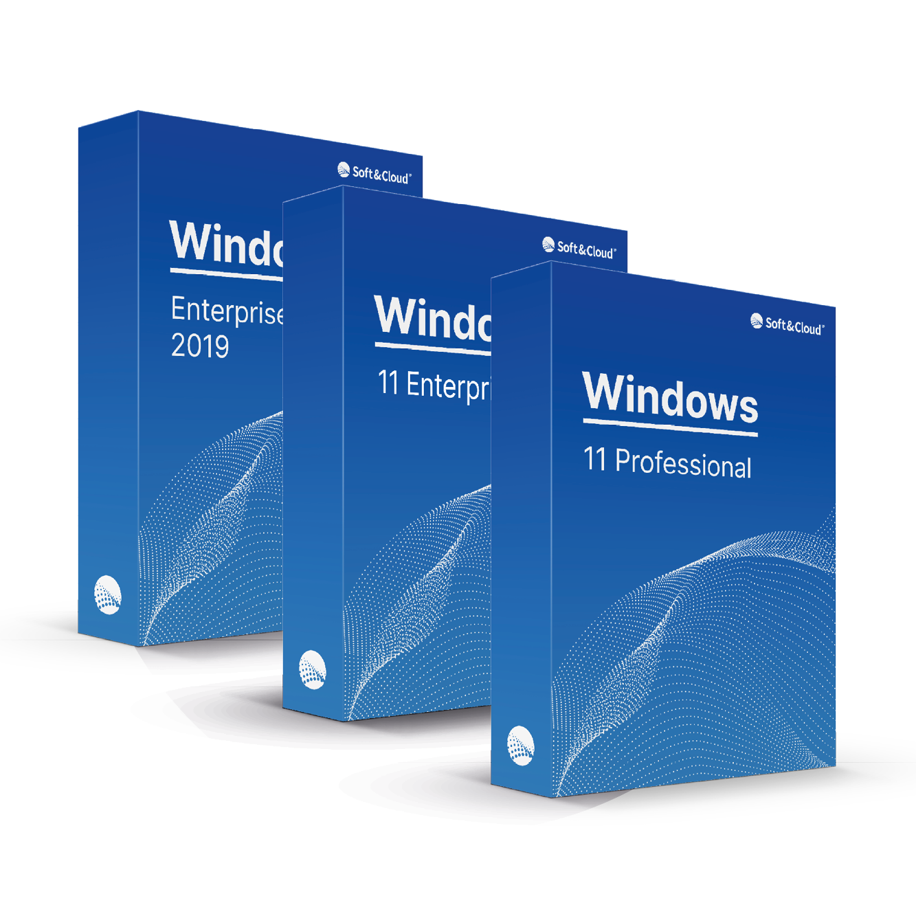 Used Microsoft Windows operating systems