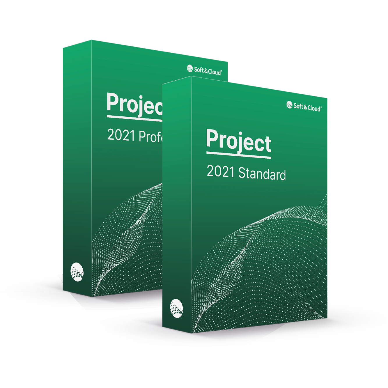 Acquistare licenze Microsoft Project 2021 usate