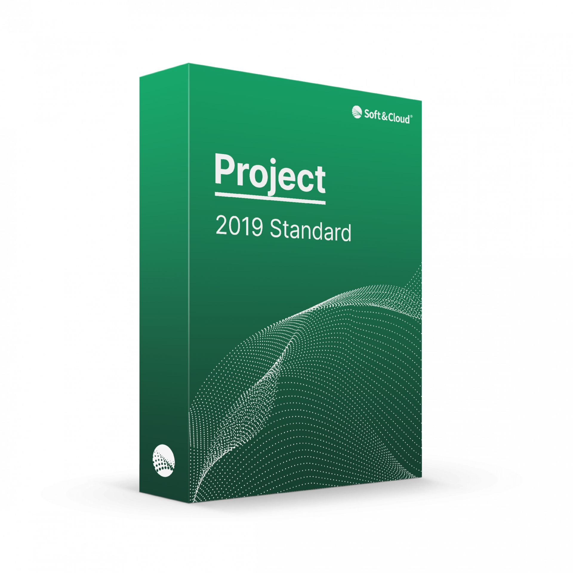 Microsoft Project 2019 Standard